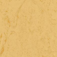 Linoleum covered raising floorings | Nesite