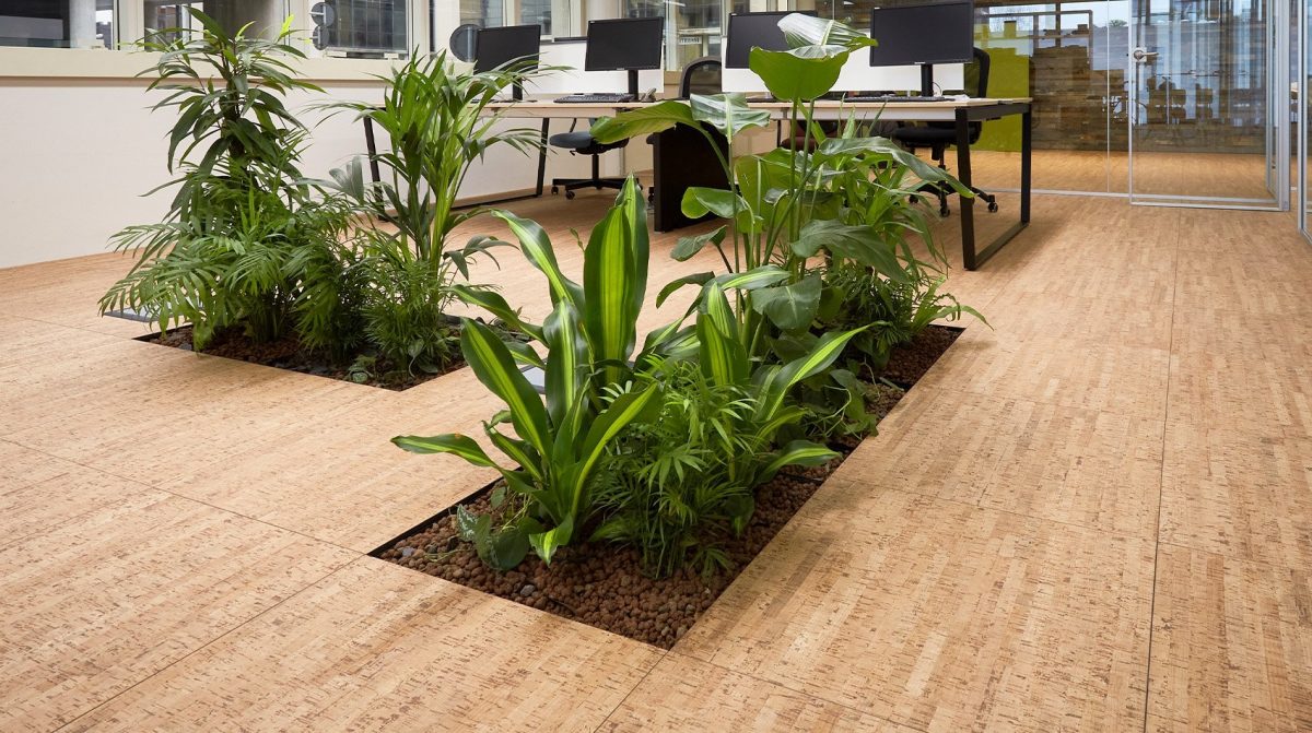 Floora, green areas in indoor spaces