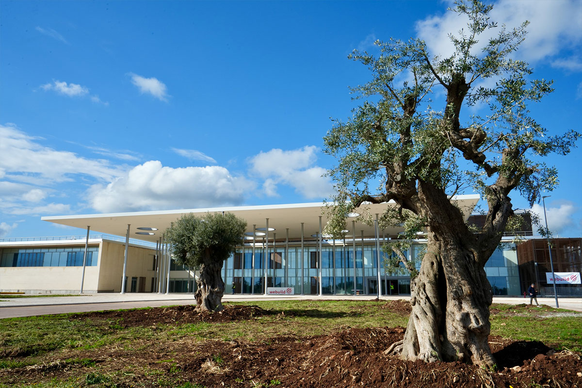 New Monopoli - Fasano Hospital among ancient olive trees